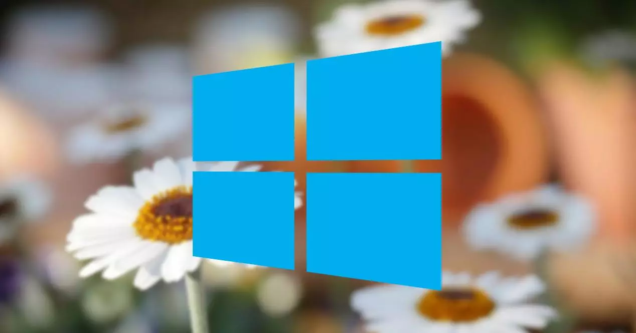 带有雏菊的 Windows 10 春季创意者更新