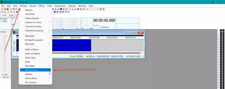 Wavosaur Vocal remover