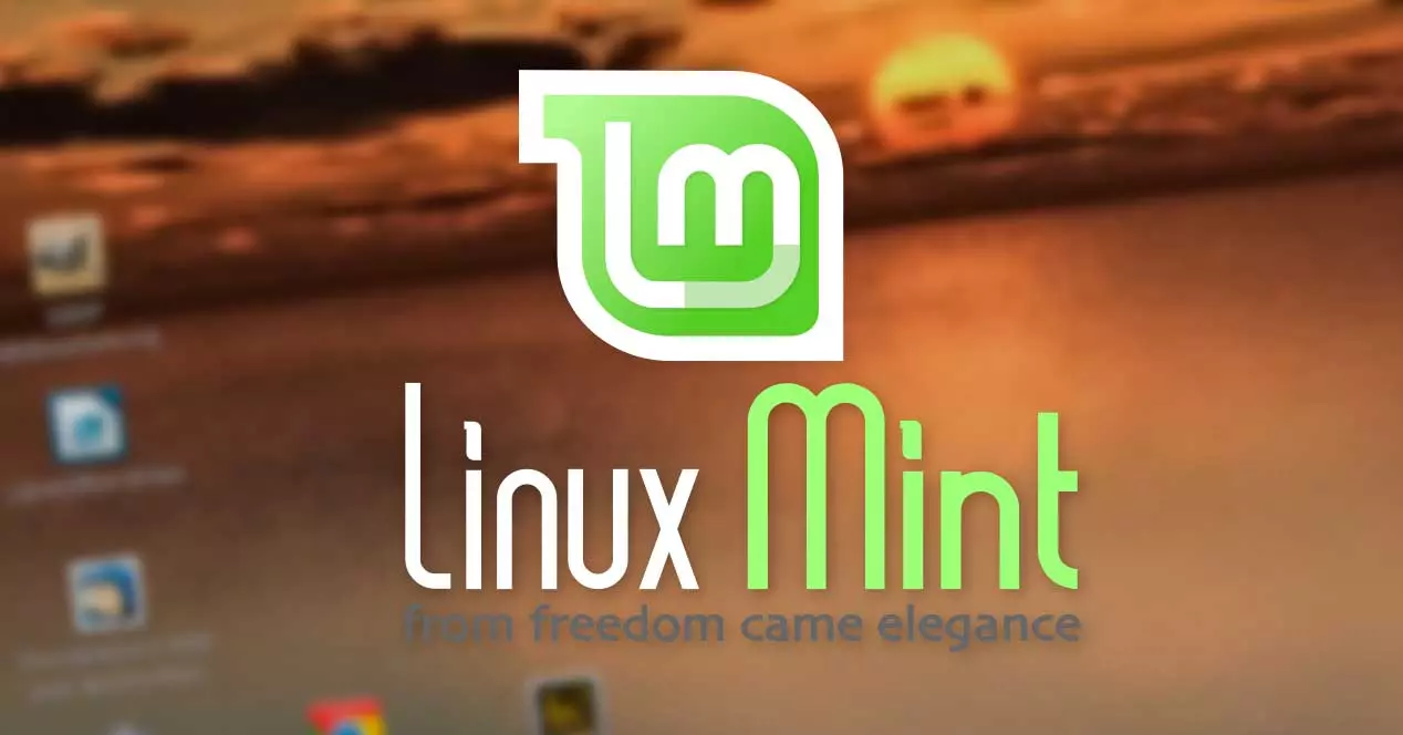 Linux Mint 19.3