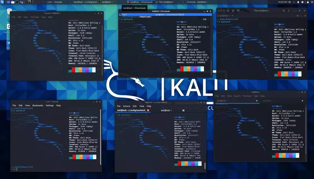 Kali Linux 2021.1 терминалууд