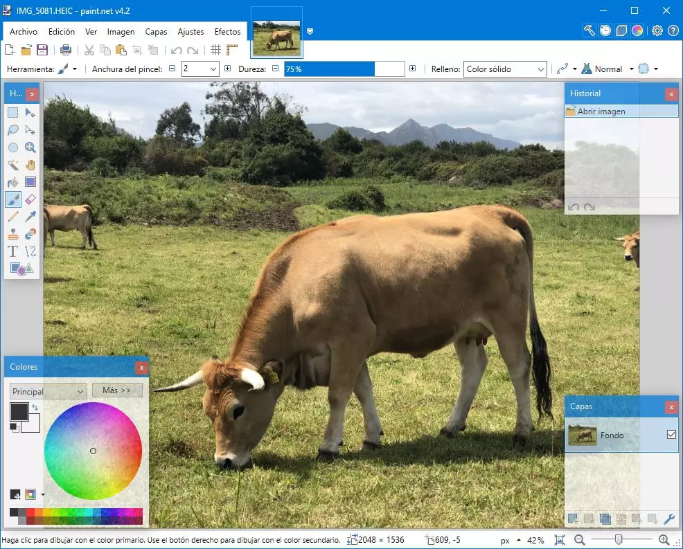 Paint.net 4.2 HEIC-Bild