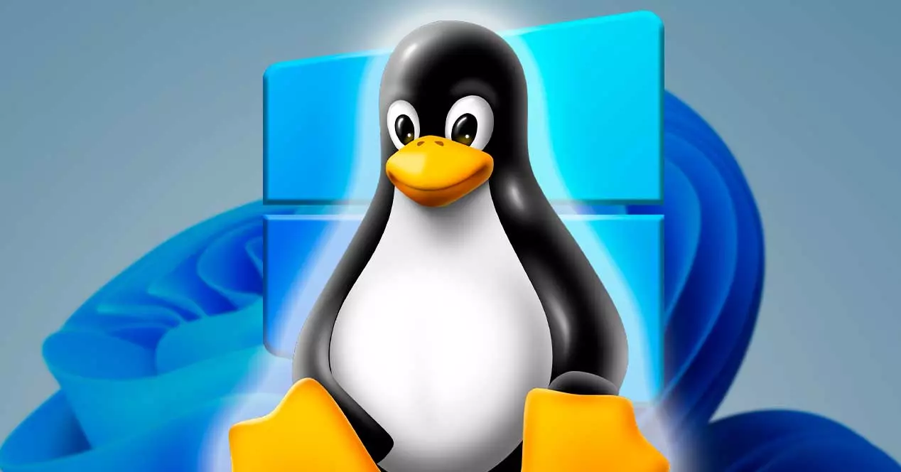 Distribisyon Linux ki te imite aparans ak santi Windows 11 21674_1