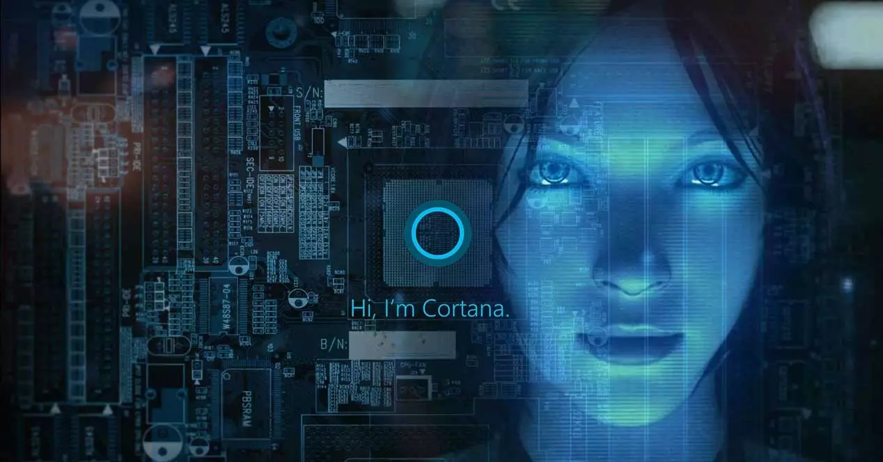 Cortana 窗口