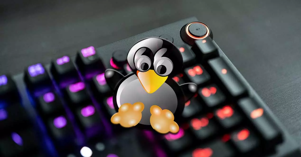 Com este programa você poderá usar seu teclado e mouse Razer no Linux