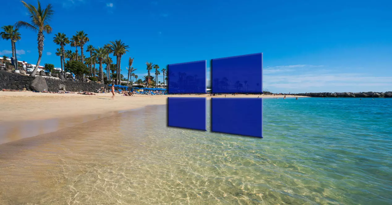 Dyr og strande: download de nye 4K-temaer fra Microsoft 22383_1