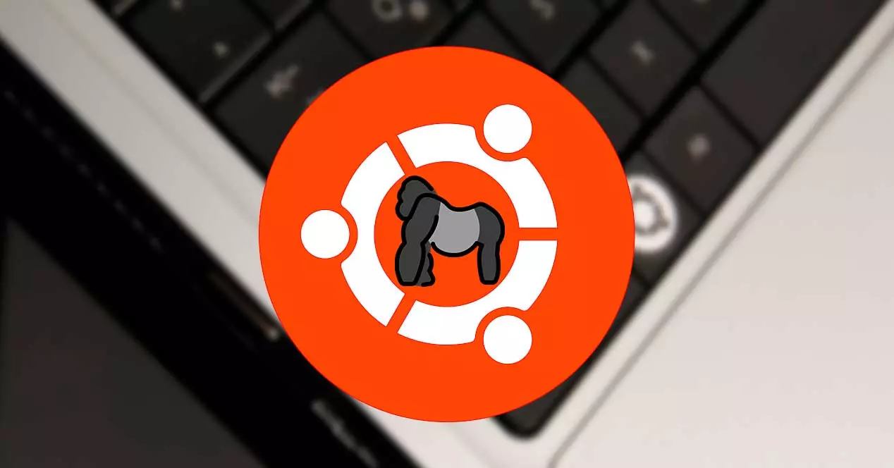 ポータブル Ubuntu 20.10 ゴリラ