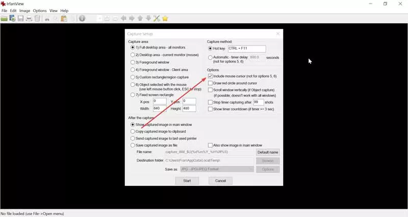 IrfanView Uključite pokazivač miša u snimke ekrana