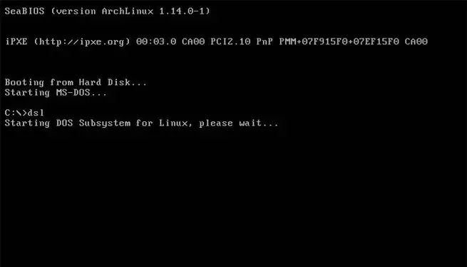 DSL - MS-DOS 1 上的 Linux