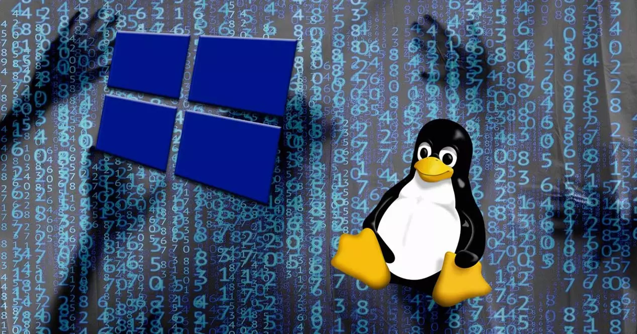 wirus windows linux