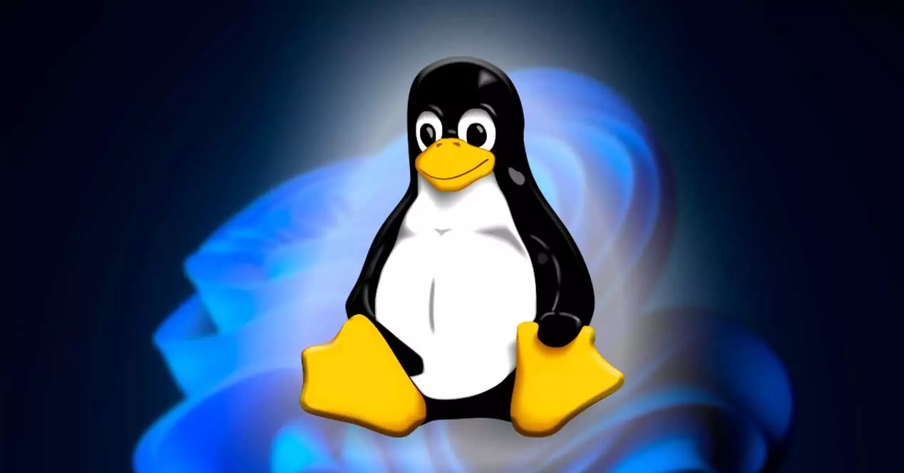 Linux pa Windows 11