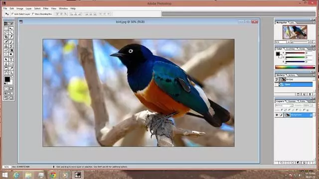 Zithunzi za Photoshop 6.0