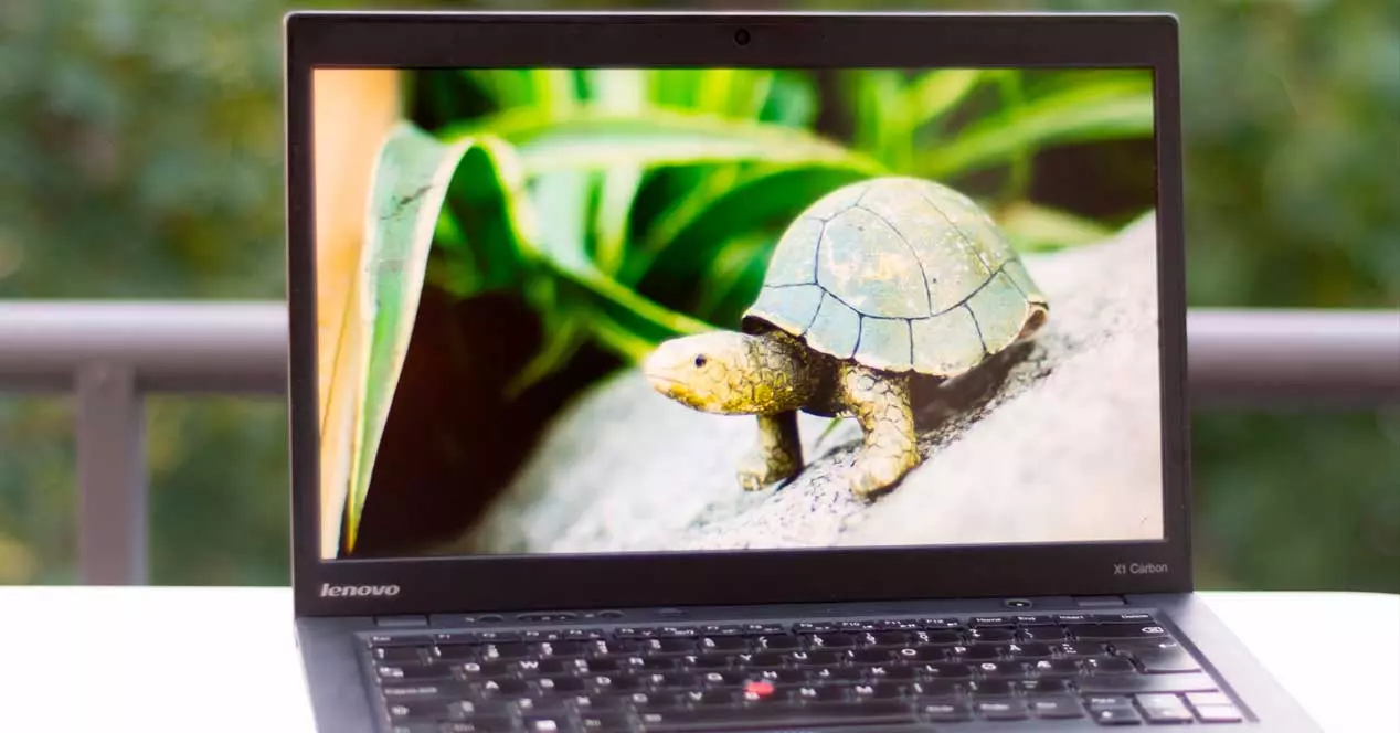 slow turtle computer