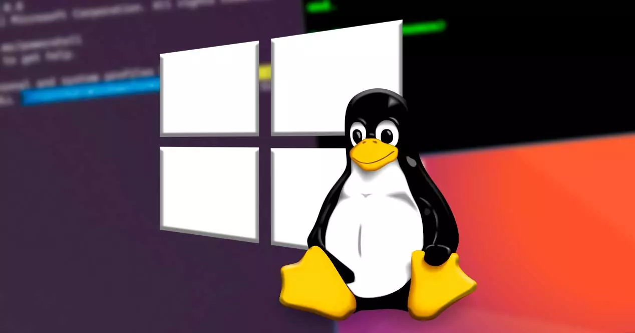 터미널 하위 시스템 Windows Linux
