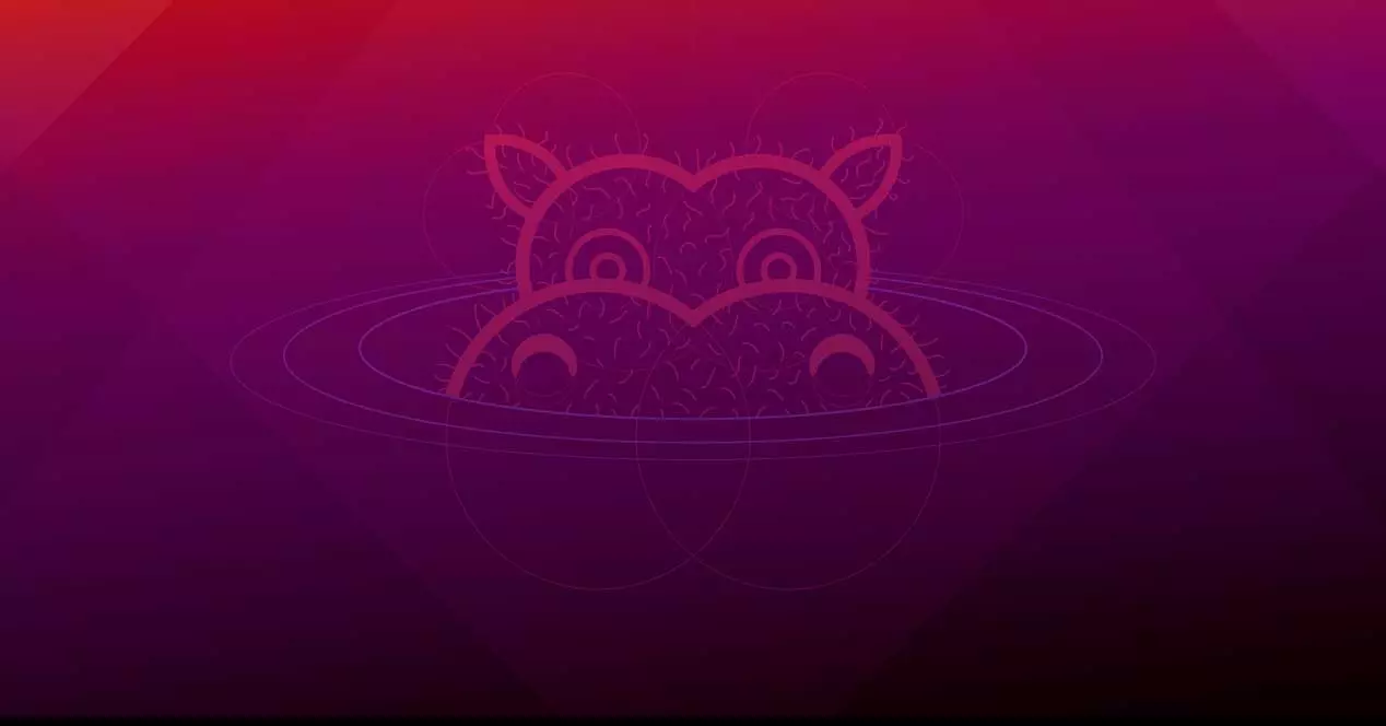 Ubuntu 21.04 Ippopotamo irsuto