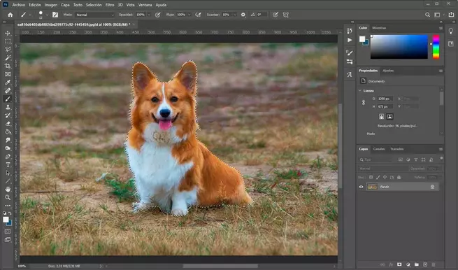 Lựa chọn chủ đề Photoshop - 10