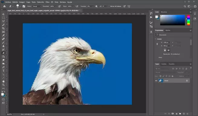 Lựa chọn chủ đề Photoshop - 11