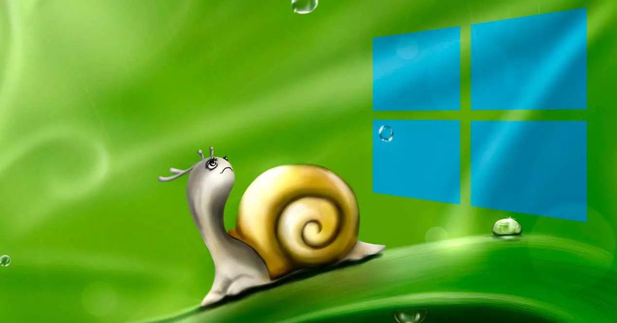 หอยทาก Windows 10