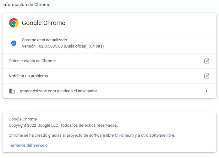 UGoogle Chrome 102