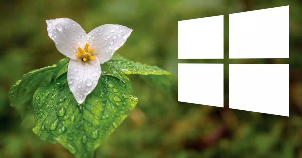 春の Windows 10