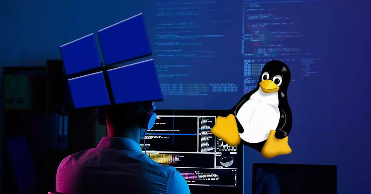 Windows Linux-programmering