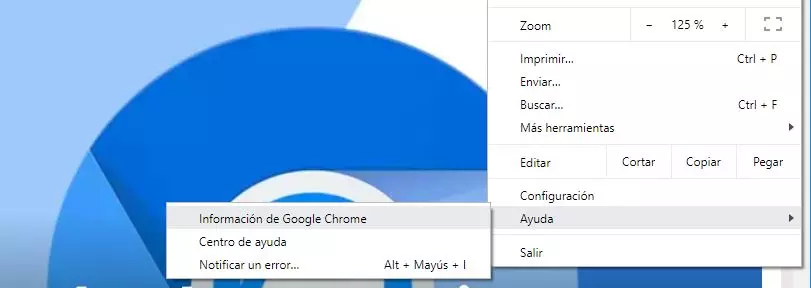 Informações do Google Chrome