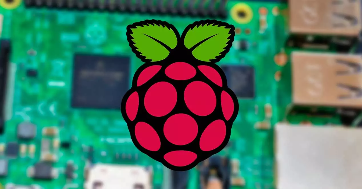 Raspberry Pi bord en logo