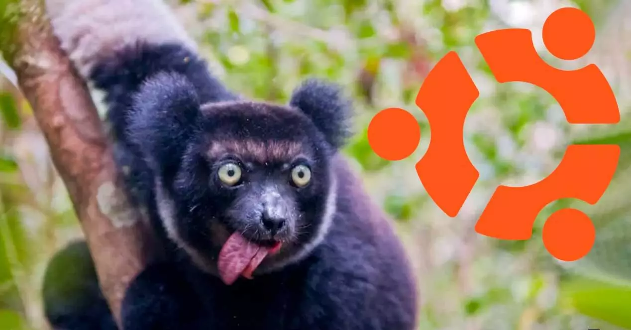 Ubuntu Indri