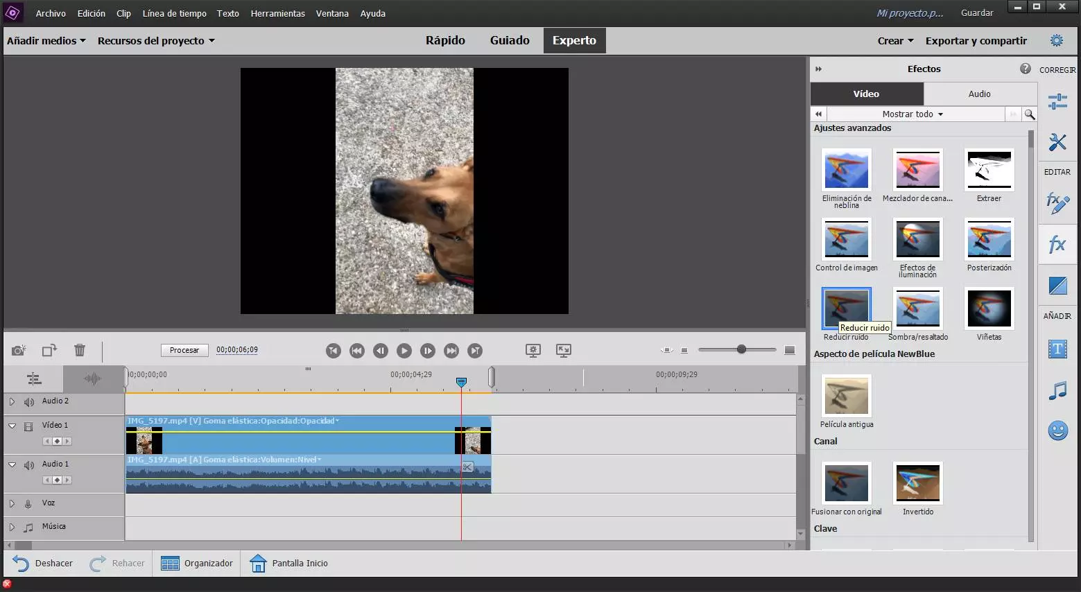 Adobe Premiere Elements – Reduzieren Sie Rauschen in Videos
