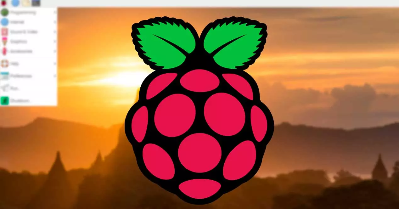 Raspberry Pi OS логотипі