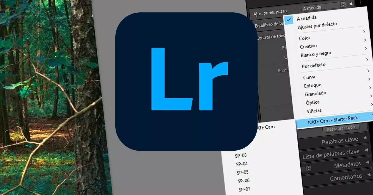 Lightroom ішіндегі алдын ала орнатулар