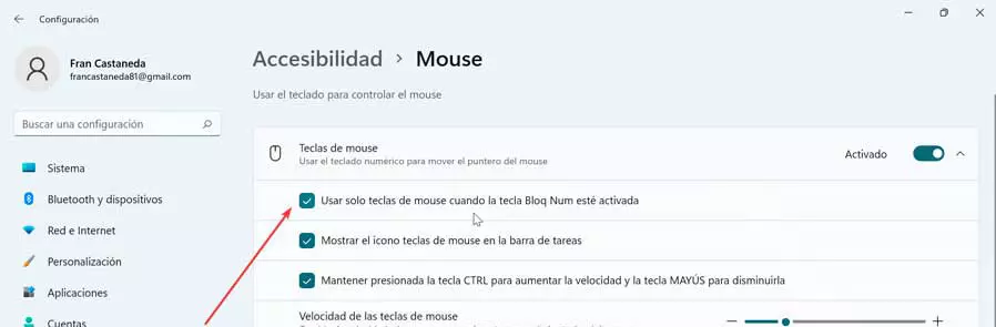 Windows 11 Sebelisa linotlolo tsa mouse ha NumLock e buletsoe