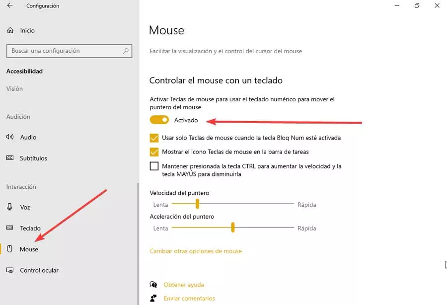 Juhtige hiirt klaviatuuriga opsüsteemis Windows 10