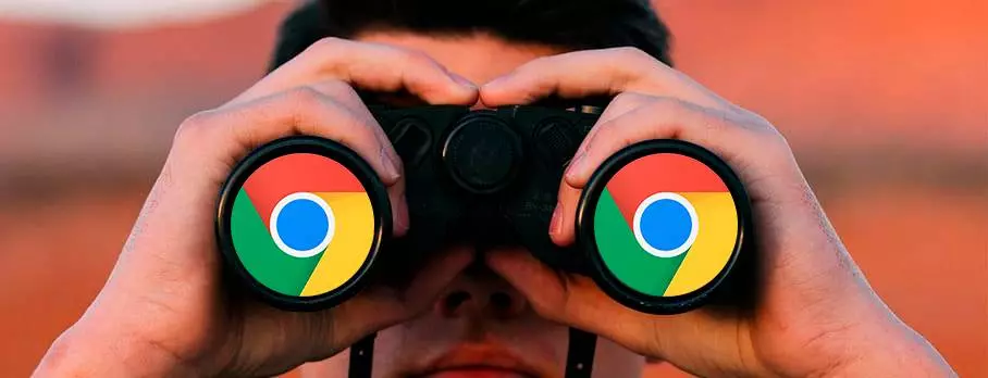 Privacy Spionearje Chrome