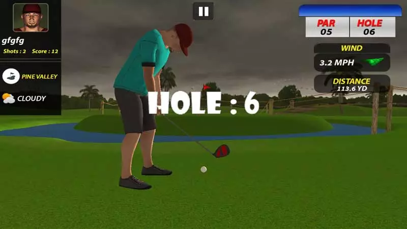 Xogo profesional de golf 3D