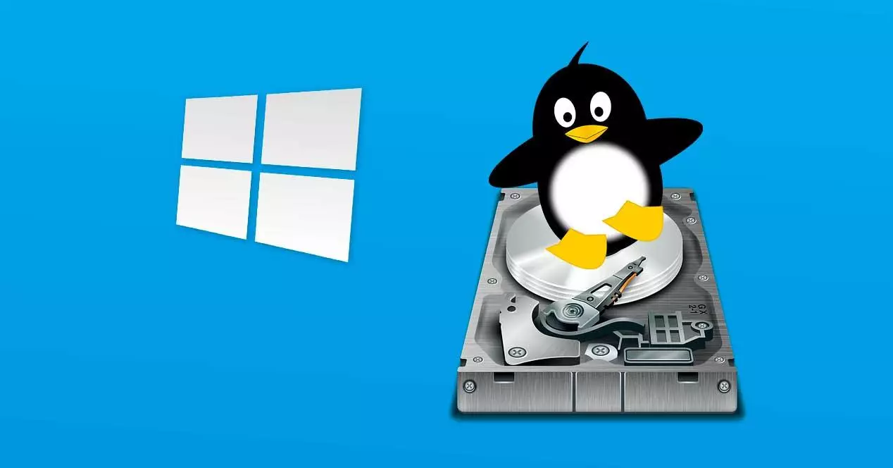 Linux kietasis diskas Windows