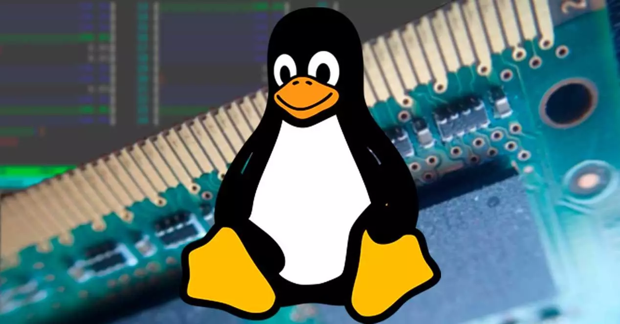 Babhtáil RAM Linux