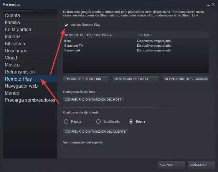 Steam Remote Play Together - 1