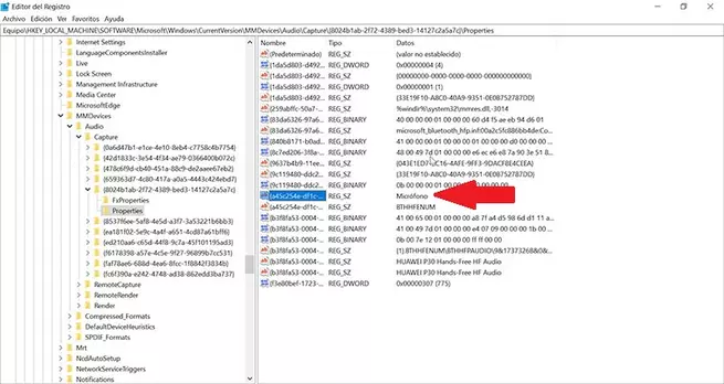 Registrierungseditor für Mikrofone