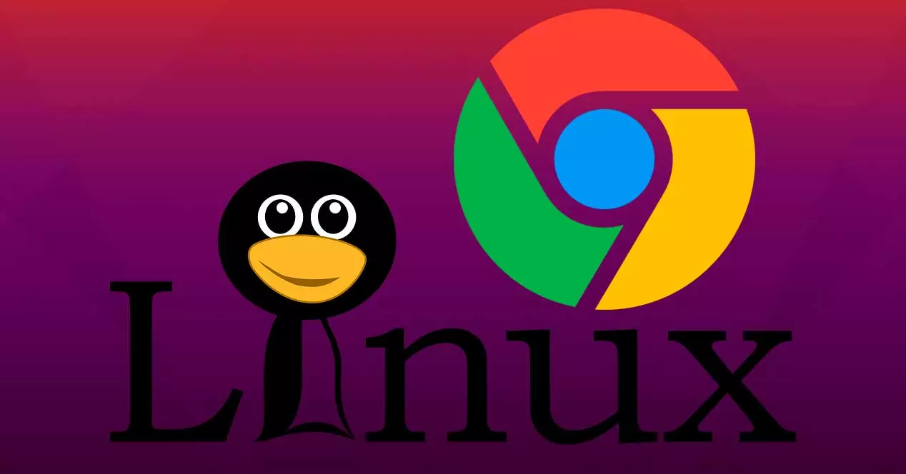 Kā lejupielādēt, instalēt un atjaunināt Google Chrome operētājsistēmā Linux