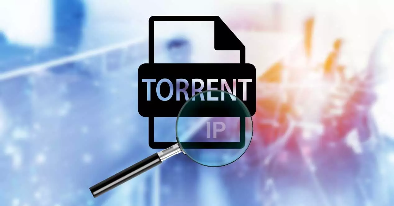 torrent utawa streaming