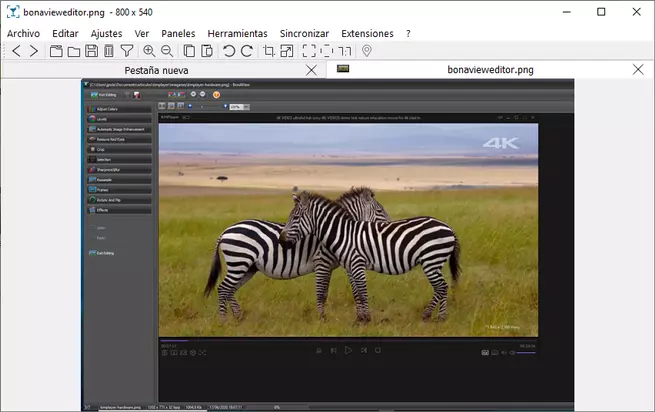 Visualizadores de fotos - Melhores programas para abrir imagens no Windows 26713_4