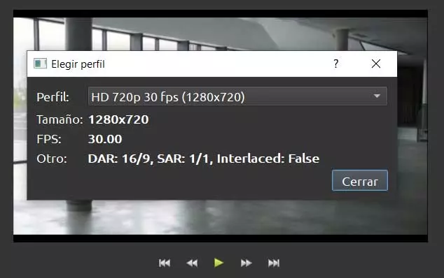 ໂປຣໄຟລ໌ OpenShot Video Type