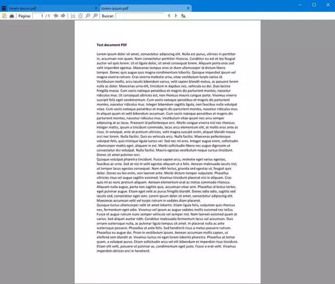 Sumatra PDF - prikaz dokumenta 2