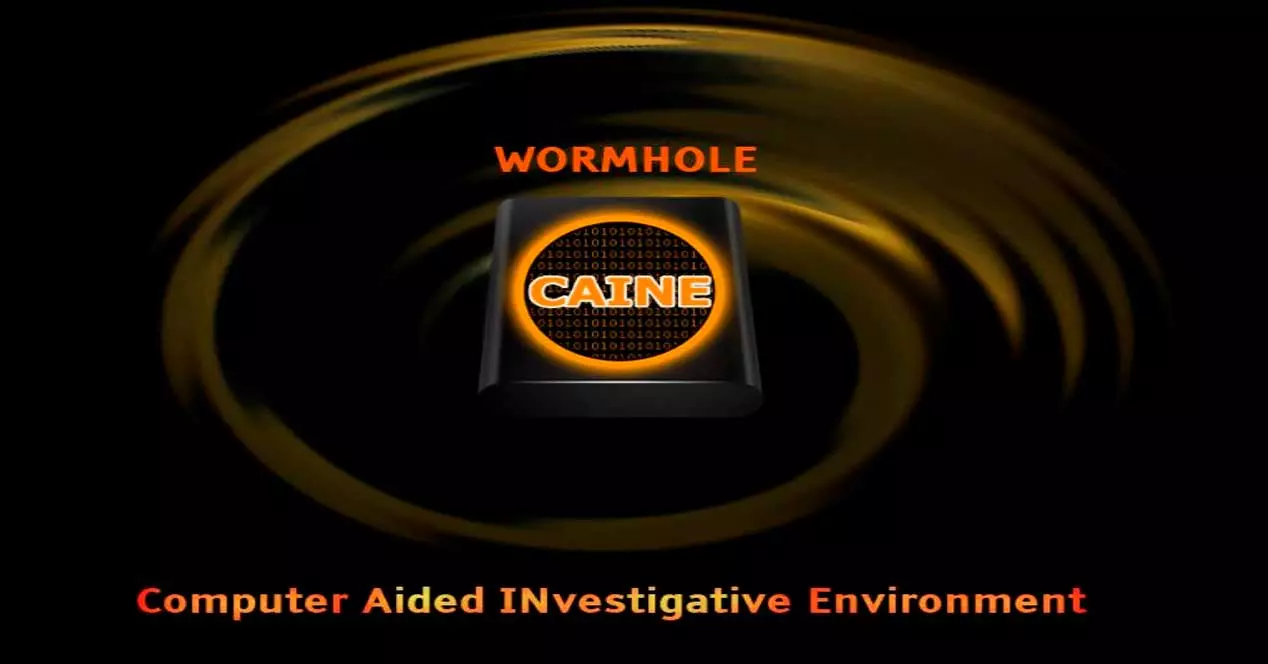 CAINE Linux Wormhole