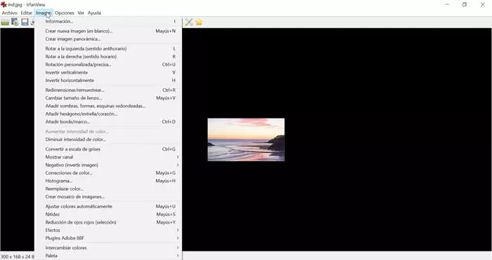 IrfanView, programme gratuit pour visualiser et éditer des images sous Windows 28196_6