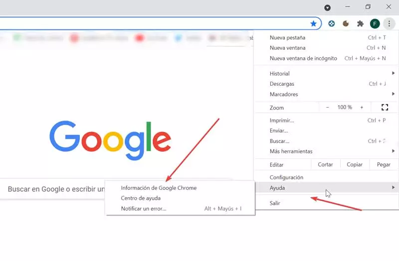 Google Chrome సమాచారం