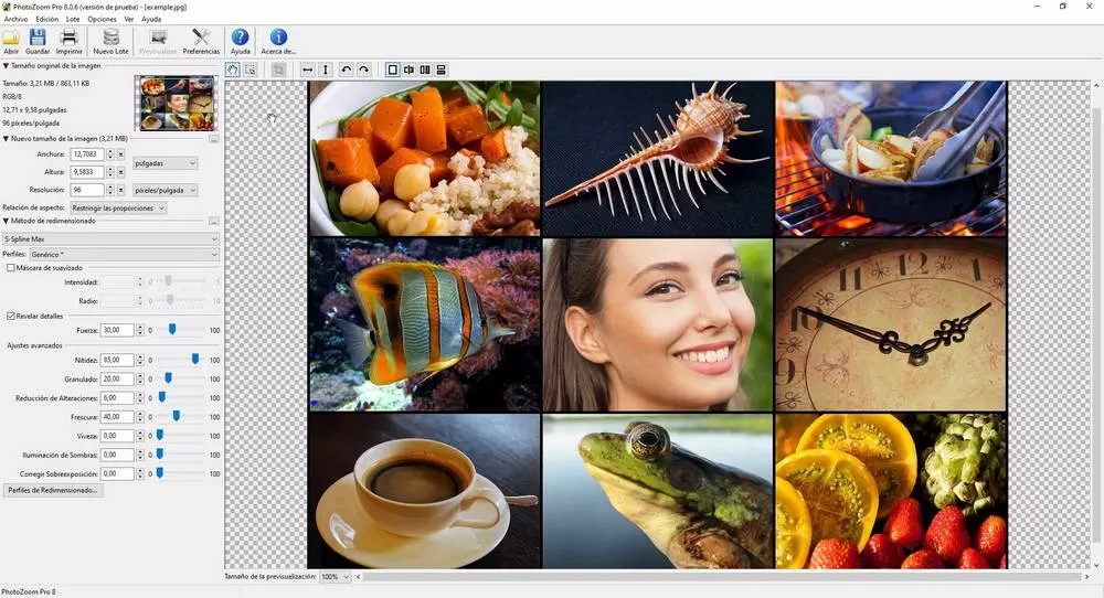 PhotoZoom Pro 8 인터페이스