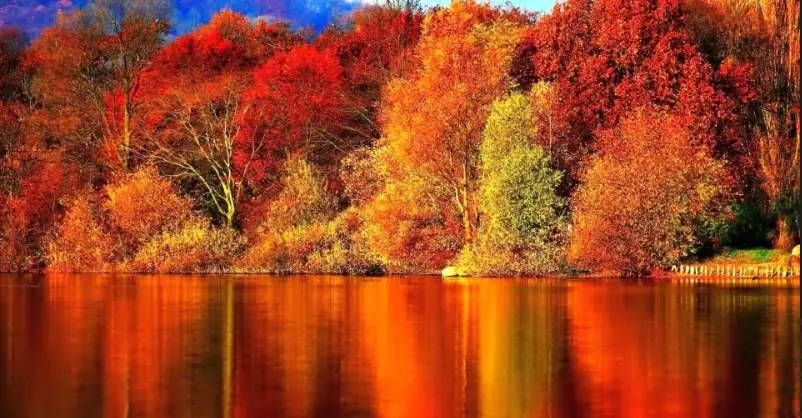 paysage de lac d'automne
