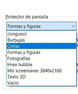 Windows Protectors