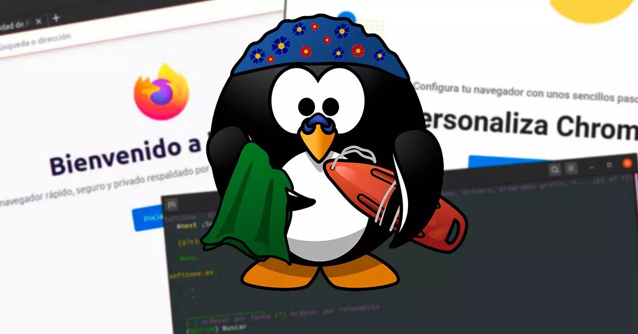 Linux web arakatzaileak